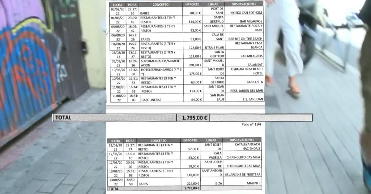 Los gastos de la mujer de Cerdán a cargo de Servinabar