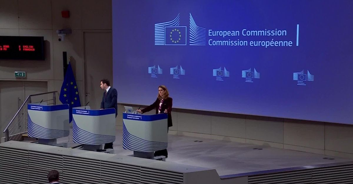 V069-BRUSELAS INFORME TIK TOK
