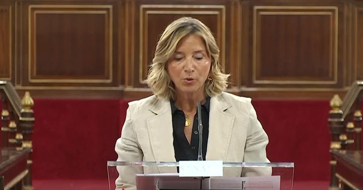 V025-MADRID RP ALICIA GARCIA SENADO