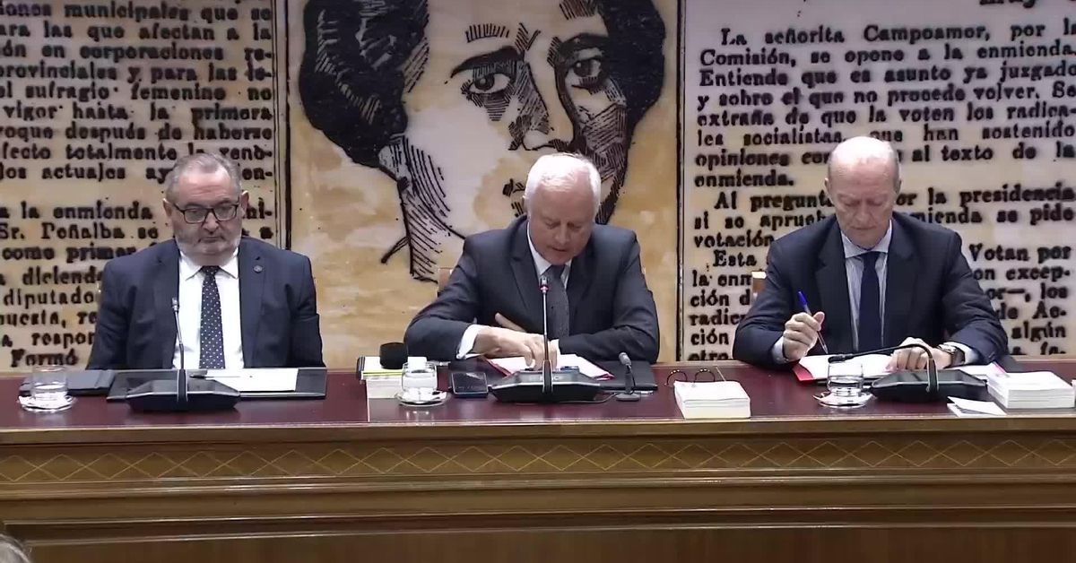 J013-SENADO KOMISION KOLDO ANGEL PELAYO VOX