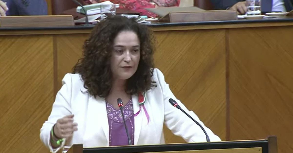 Por Andalucía tacha de cobarde a Bonilla al ausentarse cuando "debía ...