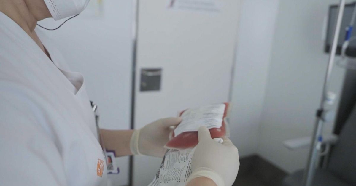 Medio siglo del primer trasplante de médula ósea en España: una ...