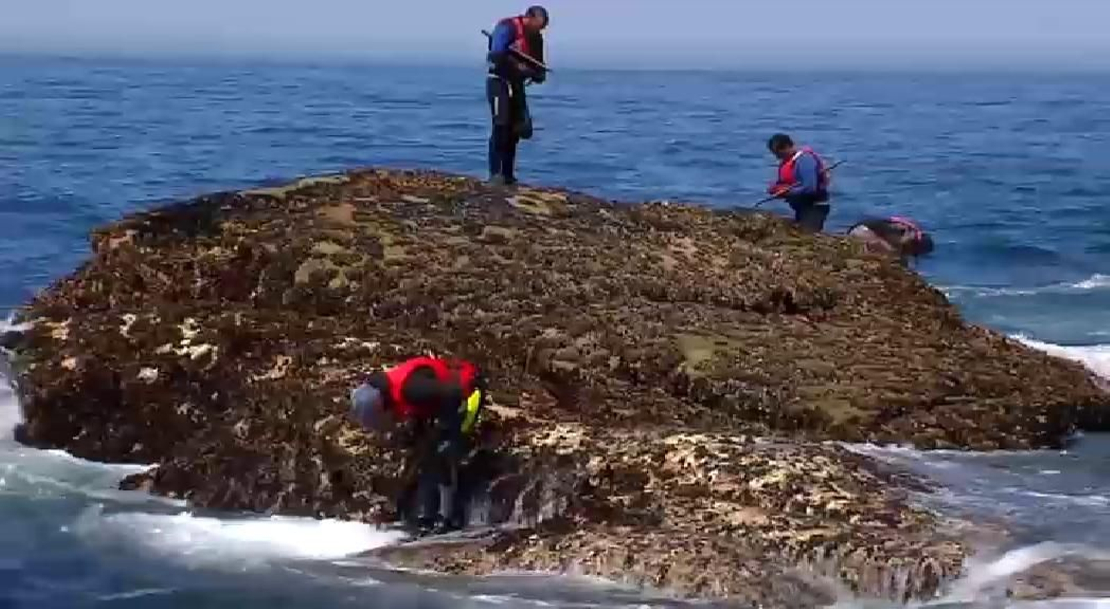 Los percebeiros, un trabajo a merced del mar