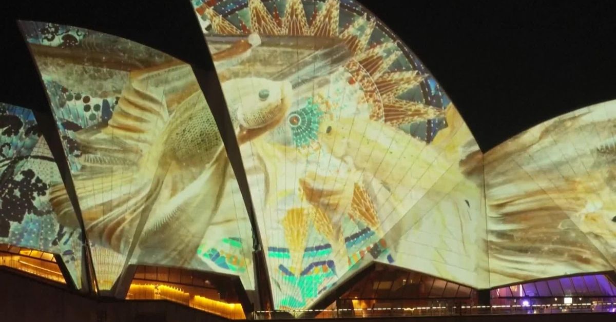 Festival Vivid Sidney en Australia: un evento de luces espectacular
